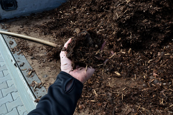 Top quality mulching and more in South Amboy, NJ, 08879